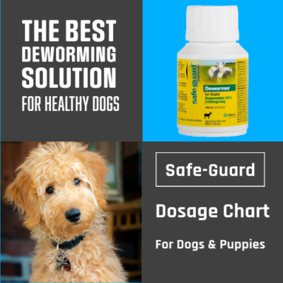 Deworming Puppies with Pyrantel Pamoate 50 mg/mL Oral Suspension ...